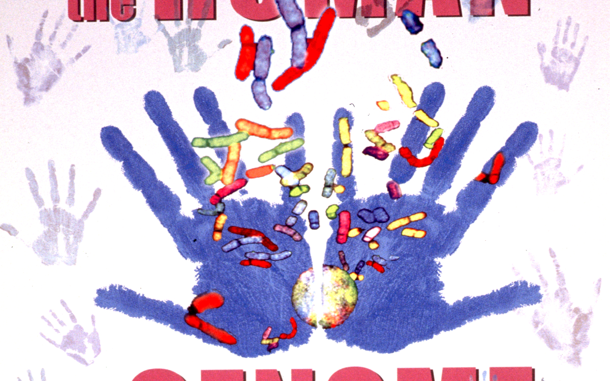 detail from poster for human genome lecture series – nlm – Nursing Clio