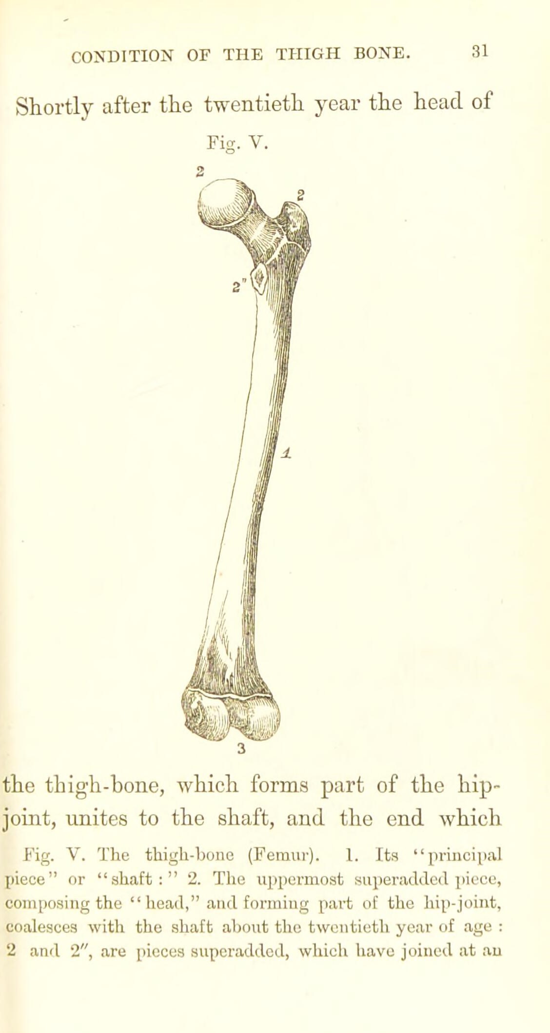 Clarke & Plant_2 – Nursing Clio